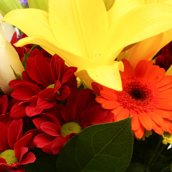 Sun Delight Bouquet – Delightful Flora