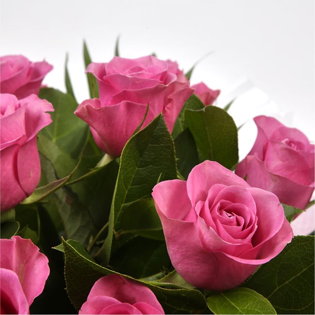 12 Beautiful Pink Roses Bouquet – Delightful Flora