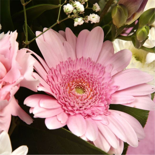 Pink Princess Bouquet – Delightful Flora